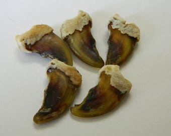 Wolverine claws | Etsy