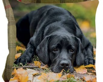 Labrador pillow | Etsy