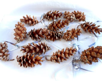 White pine cones | Etsy