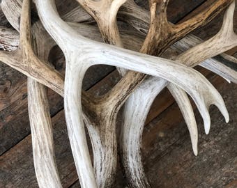Deer antler | Etsy