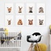 Safari Nursery Decor Baby Animals Set 6 Lion Zebra Elephant