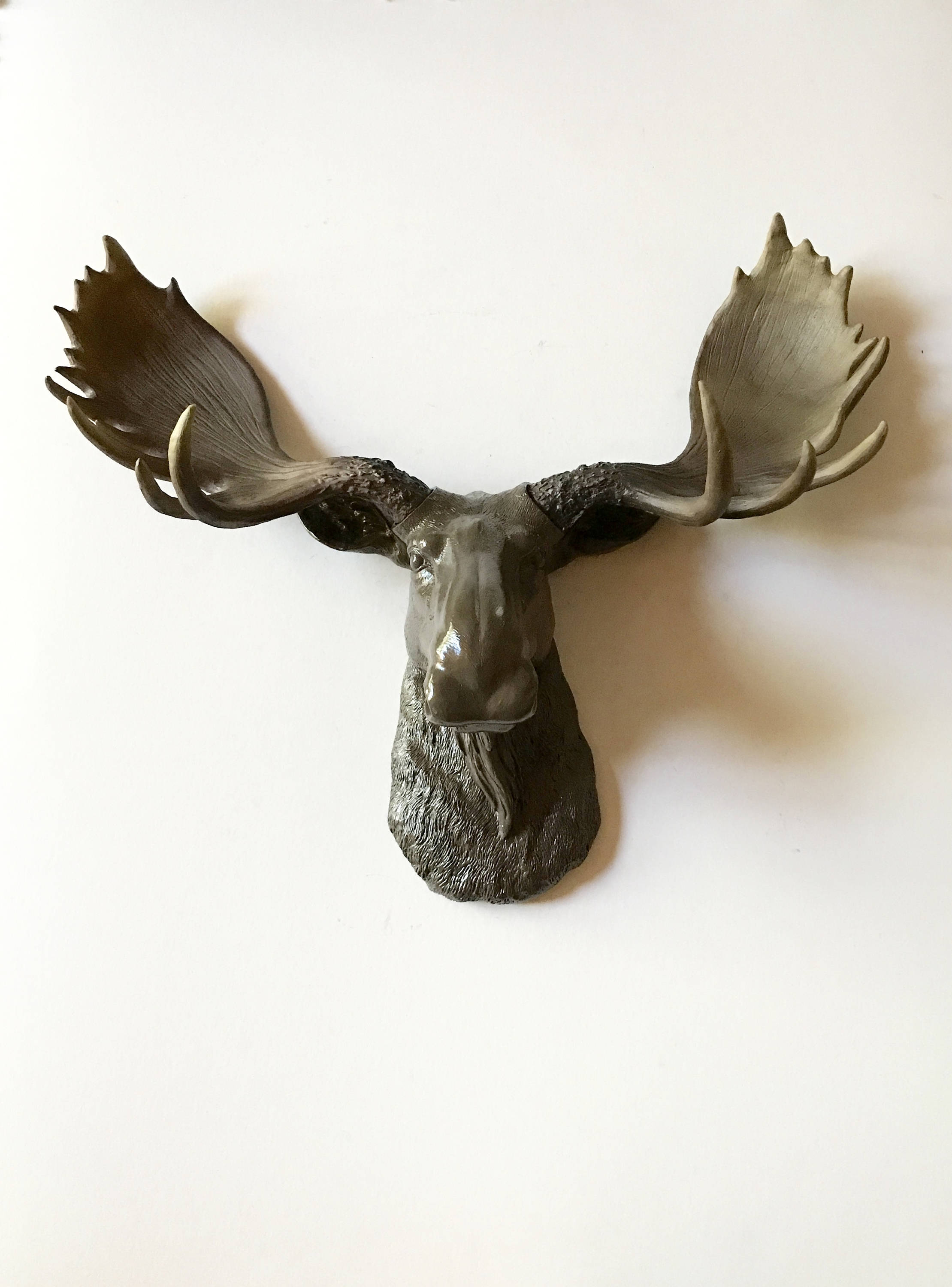 GLOSSY DaRK BrOwN Faux Taxidermy Moose Head Wall Mount Painted