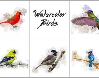 Bird clipart | Etsy
