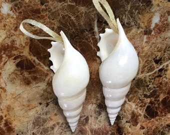 Seashell ornament | Etsy