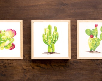 Watercolor Cactus Hedgehog PNGJPG