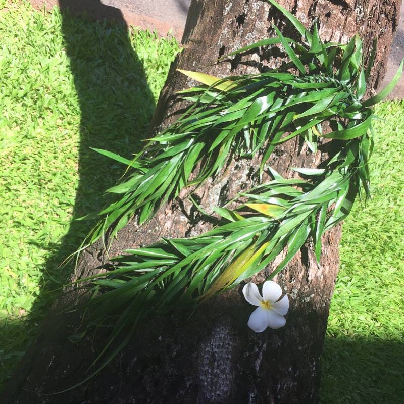 Maile style ti leaf lei.