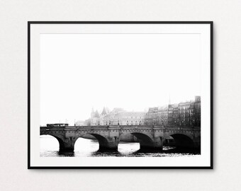 Paris Photography Pont Neuf photograph Paris pink boats