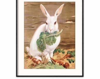 White rabbit art | Etsy
