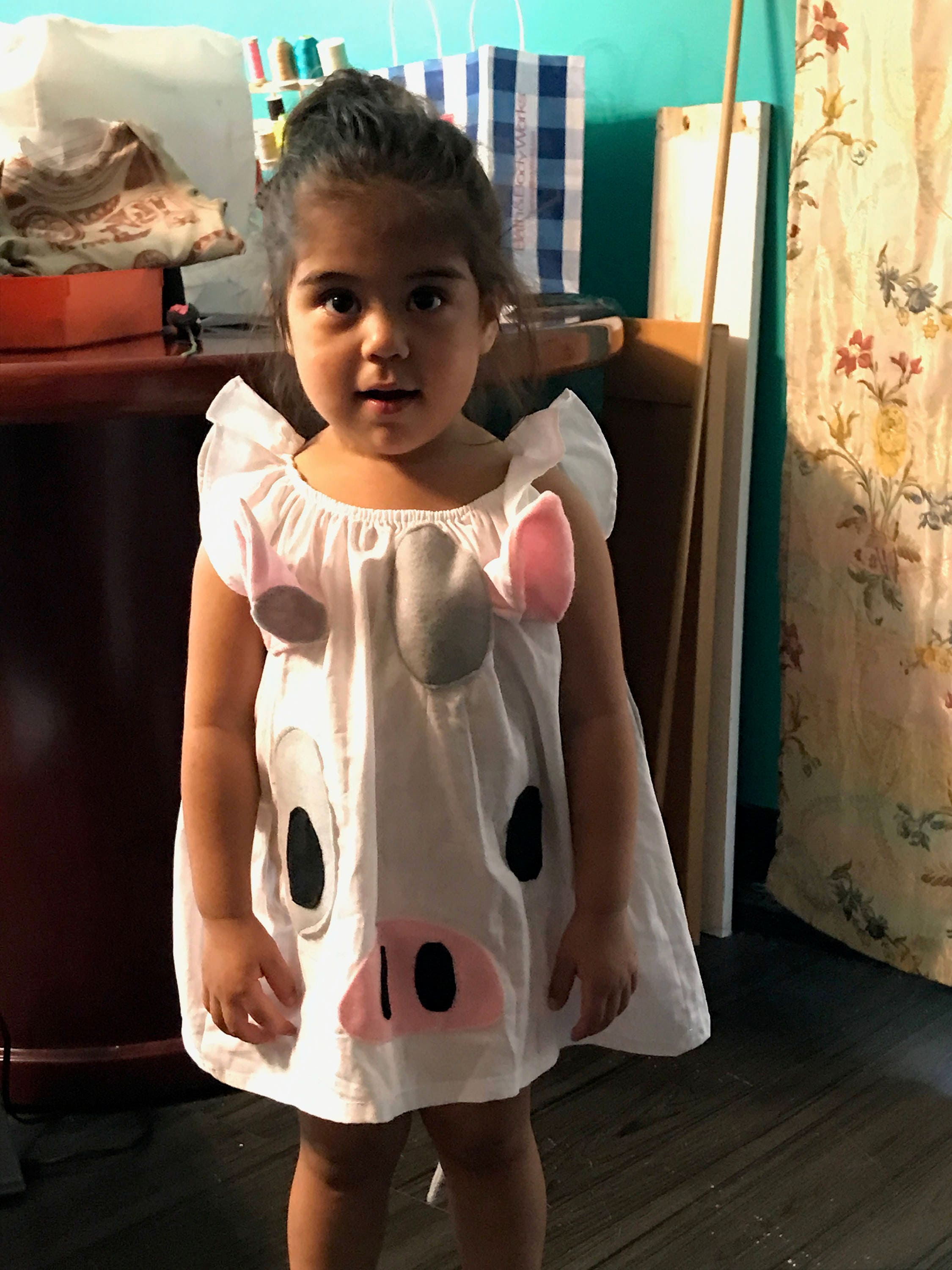 Moana Pua Pig Halloween Costume Romper/Dress for Infants