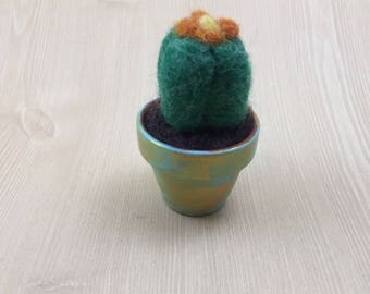 Needle felted cactus | Etsy