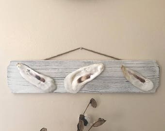Oyster wall art | Etsy