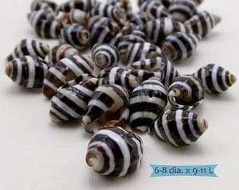 Shell beads | Etsy