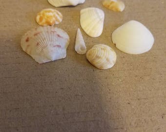 Florida panhandle | Etsy