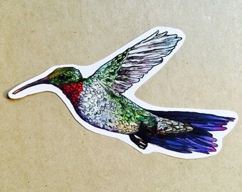 Hummingbird sticker | Etsy