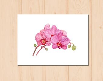 Orchid painting | Etsy