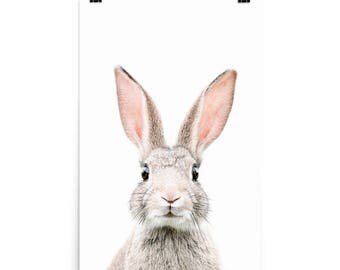 Bunny poster | Etsy