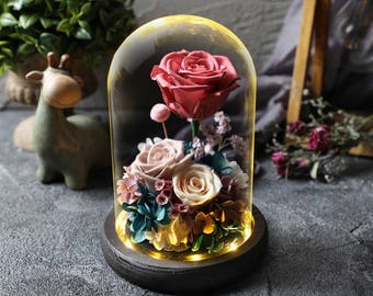 Rose in glass dome | Etsy
