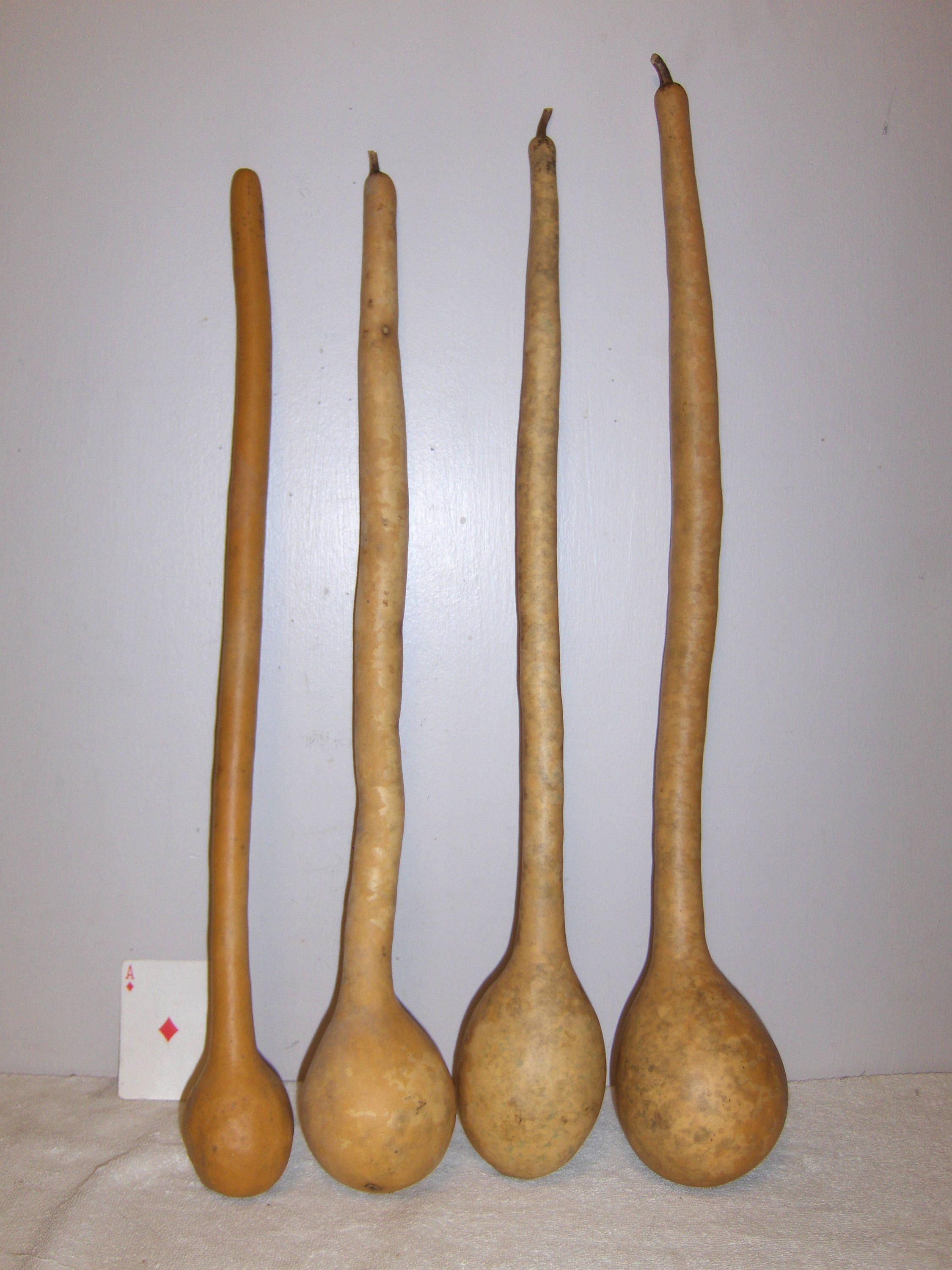 Four 4 Extra Long Handle Dipper Gourds Dried Gourds Craft