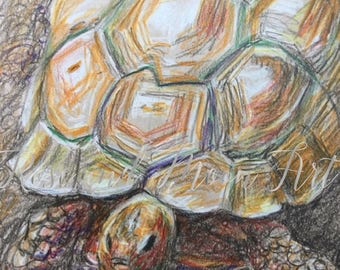 Colored pencil drawing | Etsy