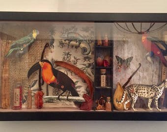 Learning About The Amazon Rainforest: Clip Art Pack 300 dpi