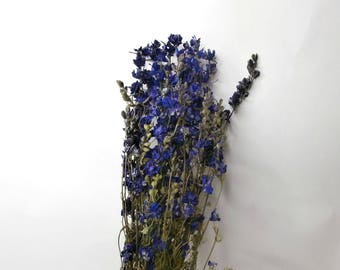 Blue delphinium | Etsy