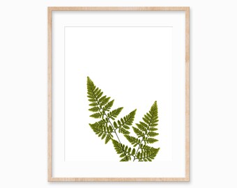 Fern Wall Decal Large Leaf Decals Vinyl Wall Decal Leaves