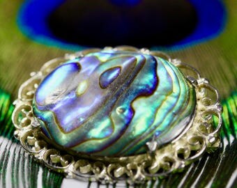 Paua shell brooch | Etsy