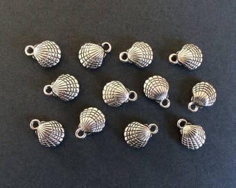 Clam shell jewelry | Etsy