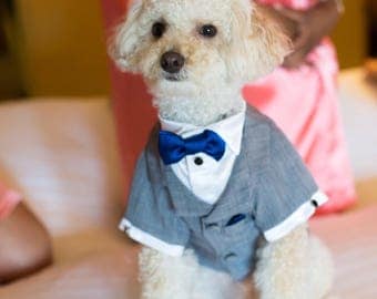 Gray Dog Tuxedo and Satin Shirt /Custom bow tie colors