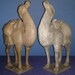 Rare pair of Tang parrots. AD 618690 & 705907