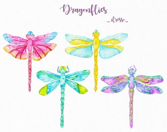 Dragonfly clip art | Etsy