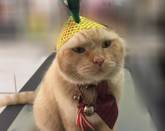 Cat hats | Etsy