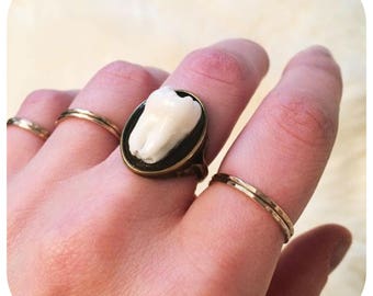 Human tooth ring | Etsy