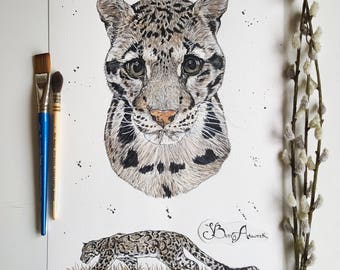 Wildcat Artwork Baby Bobcat Big Cat Art Print Woodland