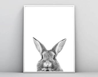 White rabbit print | Etsy