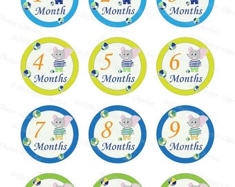 Months clipart | Etsy