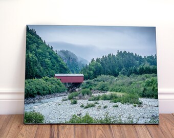 Green wall art nature photo 5x7 inches with rain drops