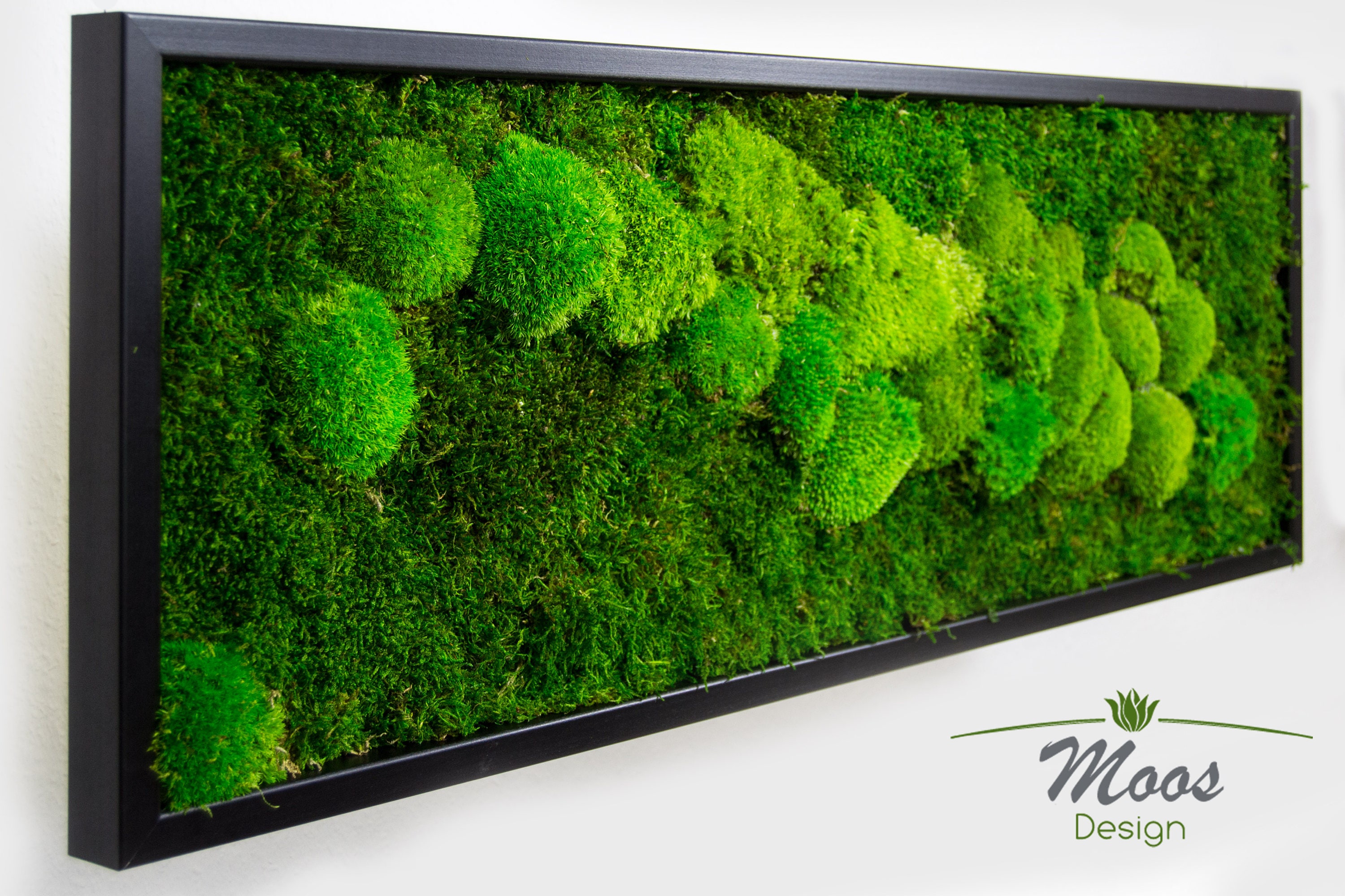 Moosbild Wandbild mit Moos Moosbilder kaufen Wanddeko