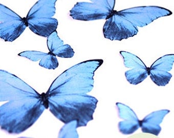 Light blue butterfly | Etsy