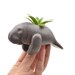 Small cute manatee planter ceramic planter animal planter