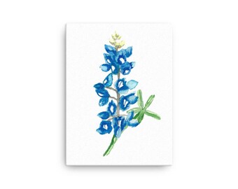 Bluebonnet print | Etsy