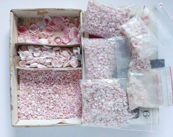 Pink seashells | Etsy