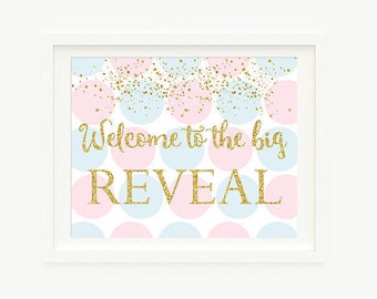 Gender reveal sign | Etsy