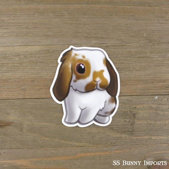 Broken orange lop rabbit sticker printed chibi bunny vinyl