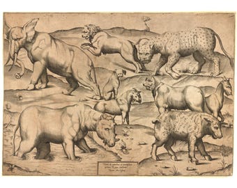 Animal drawing | Etsy