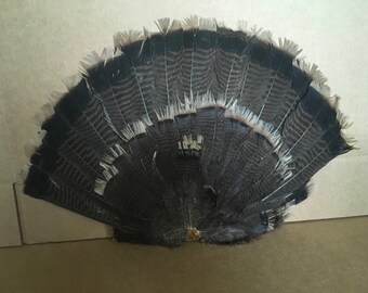 Turkey tail feathers | Etsy