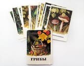 Old Russian postcards prints books and vintage by SovietPostcards