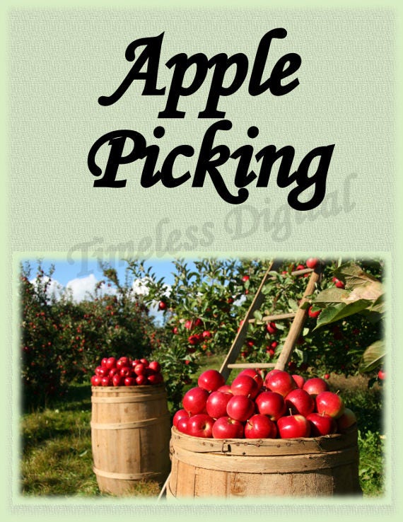 Apple Picking Flyers - Set of 4 Sheets - Fall Autumn Apples - Scrapbook ...