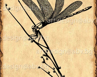 Dragonfly dxf | Etsy