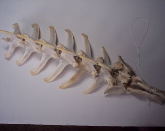 Bone sculpture | Etsy